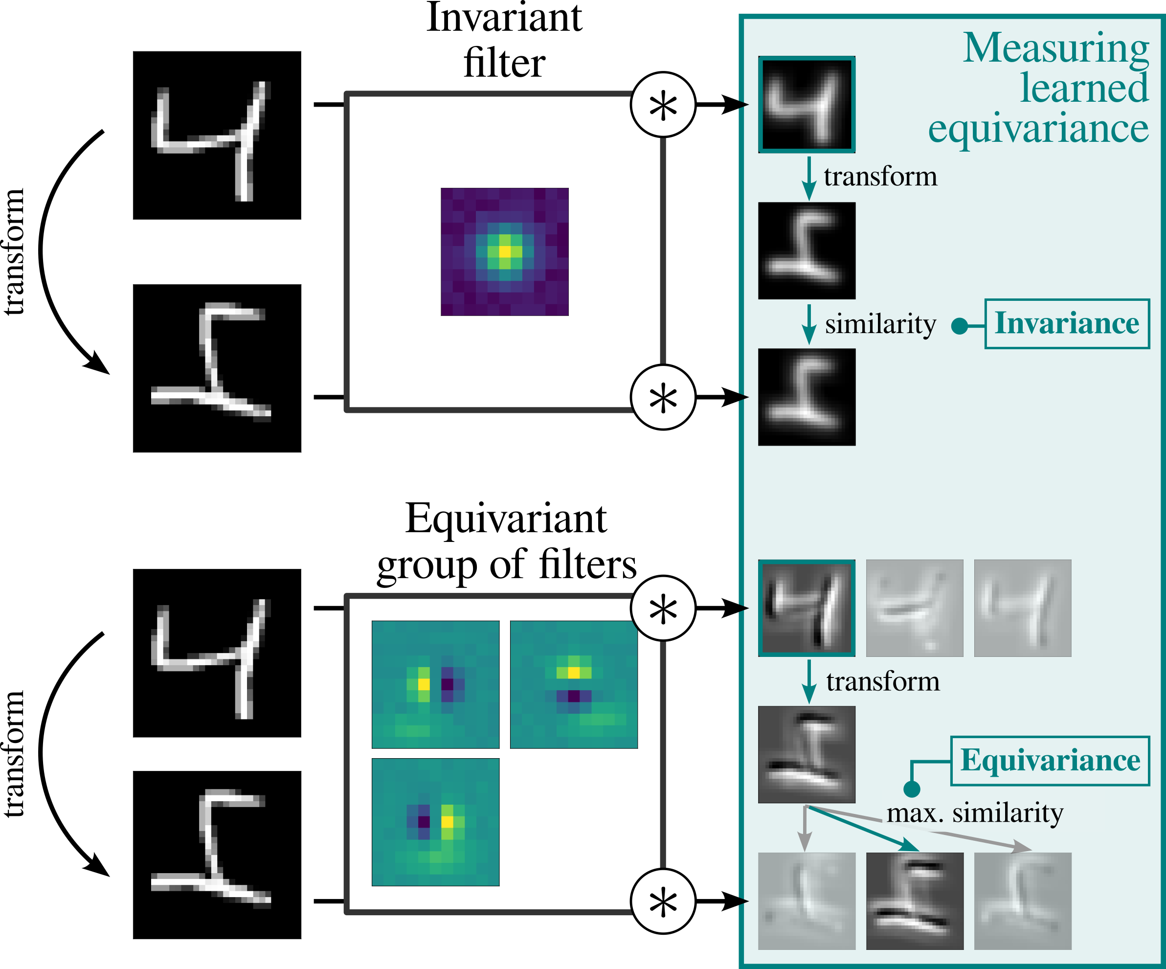 What Affects Learned Equivariance in Deep Image Recognition Models ...